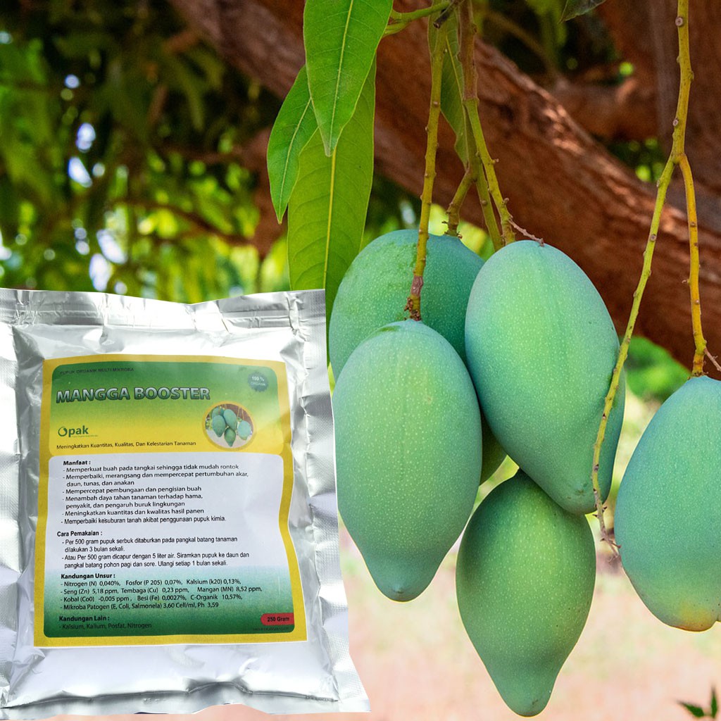 Jual Pupuk Organik Booster Mangga Perangsang Buah Serbuk Terbaik Ampuh Agar Cepat Berbuah Lebat ...