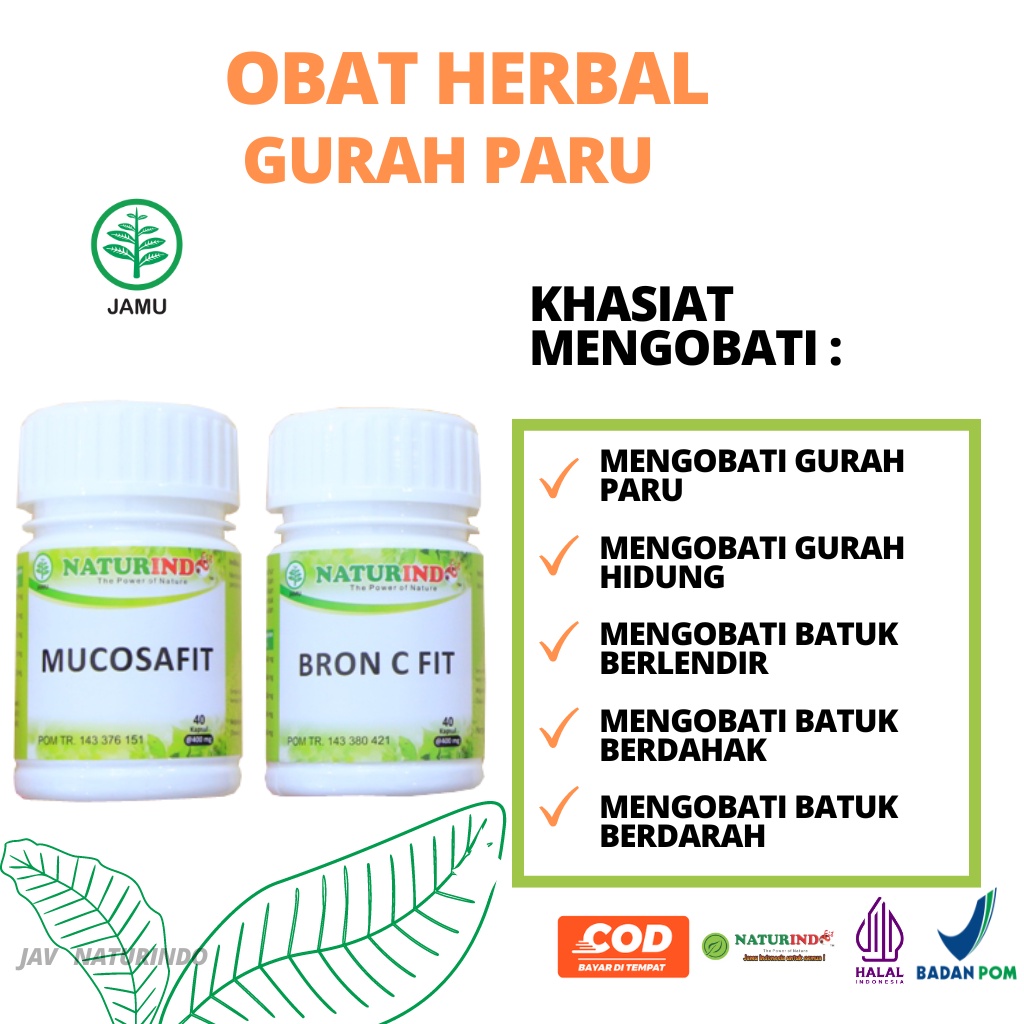 Jual Obat Gurah Paru Paru Sesak Nafas Batuk Berdahak Berlendir ...