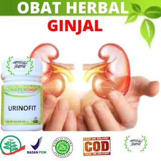 Jual Obat Ginjal Pembersih Saluran Kencing Detox Ginjal Gagal Ginjal ...