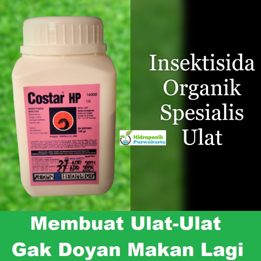 Jual Pestisida Organik Insektisida Non Kimia Costar HP Basmi Tuntas ...