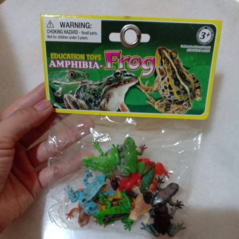 Jual mainan gambar katak frog education toys 12 jenis dan warna frog ...