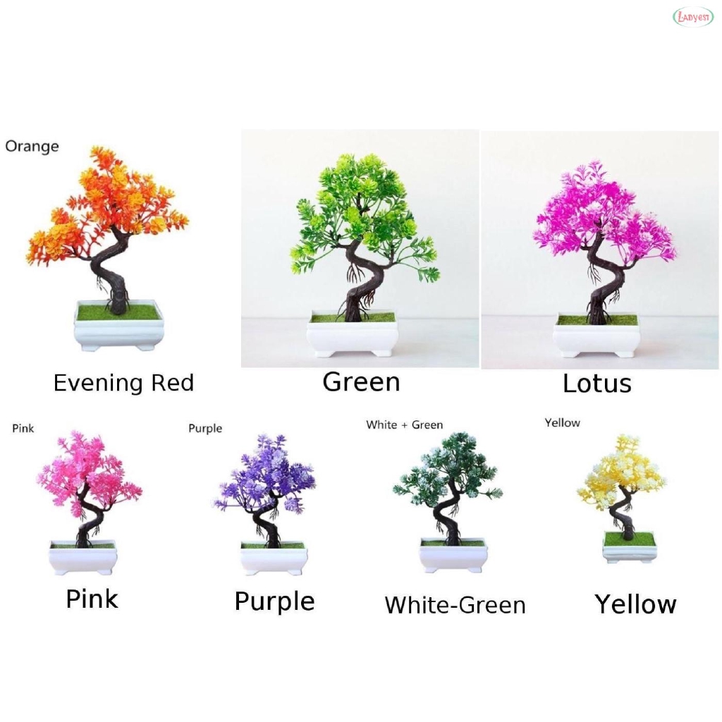 26+ Contoh Bunga Yang Memiliki Struktur Lengkap Terbaik - Informasi ...