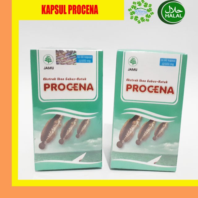 Jual Kapsul Procena - Kapsul Prosena - Kapsul Ikan Gabus - Kapsul Ikan ... Jual Kapsul Procena - Kapsul Prosena - Kapsul Ikan Gabus - Kapsul Ikan ...