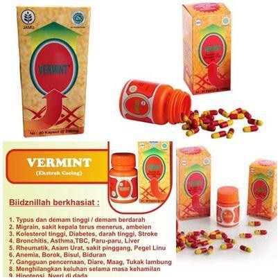 Jual Original Vermint 250 mg Kapsul Cacing Kering - 12 Kapsul Obat ...