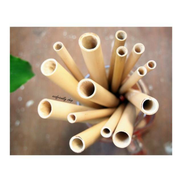 Bamboo Straw / Sedotan Bambu Ramah Lingkungan | Shopee Indonesia