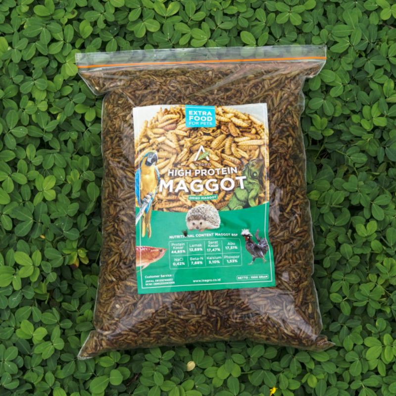Jual DRY MAGGOT/ PAKAN TERNAK/ MAGGOT KERING 1000 Gr | Shopee Indonesia