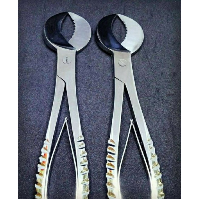 Jual Tang potong Gips / dental Tang Gypsum sen Shan dental instrument ...