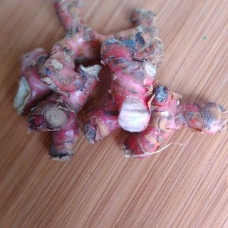 Jual laos merah segar lengkuas merah 250gram | Shopee Indonesia