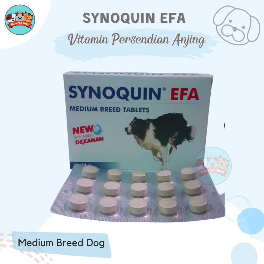 Jual Synoquin EFA Medium Breed Tablets For Dogs Suplemen Tulang dan Persendian 1tablet | Shopee ...