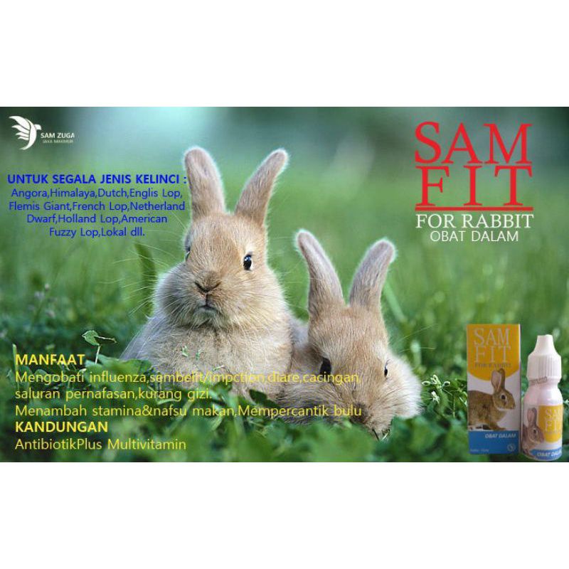 Jual SAMFIT obat dalam kelinci | Shopee Indonesia