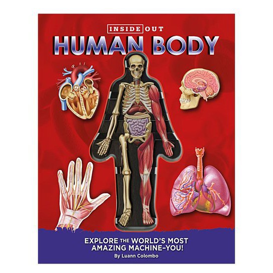 Jual Inside Out Human Body: Explore the World's Most Amazing Machine ...