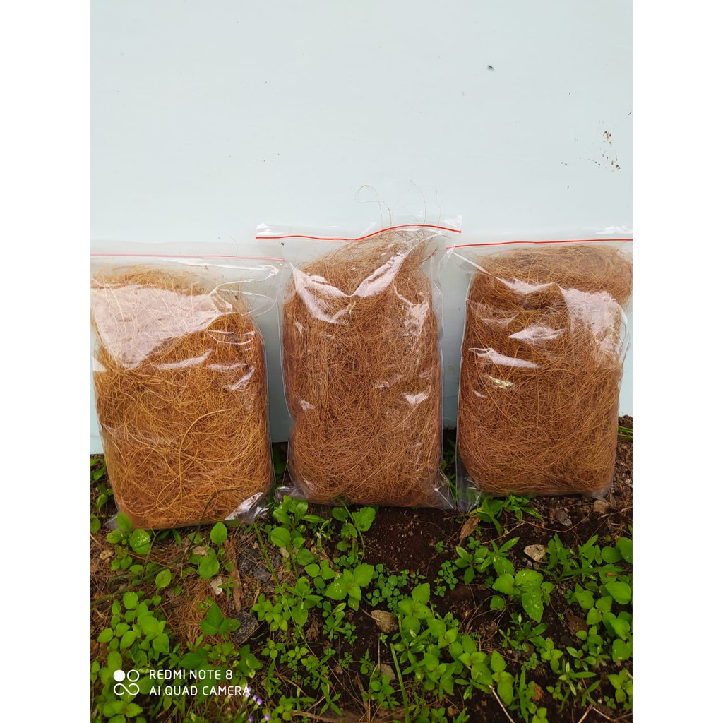 Jual Coco Fiber / Sabut Kelapa/ Media Tanam / Supplier CocoFiber 1kg ...