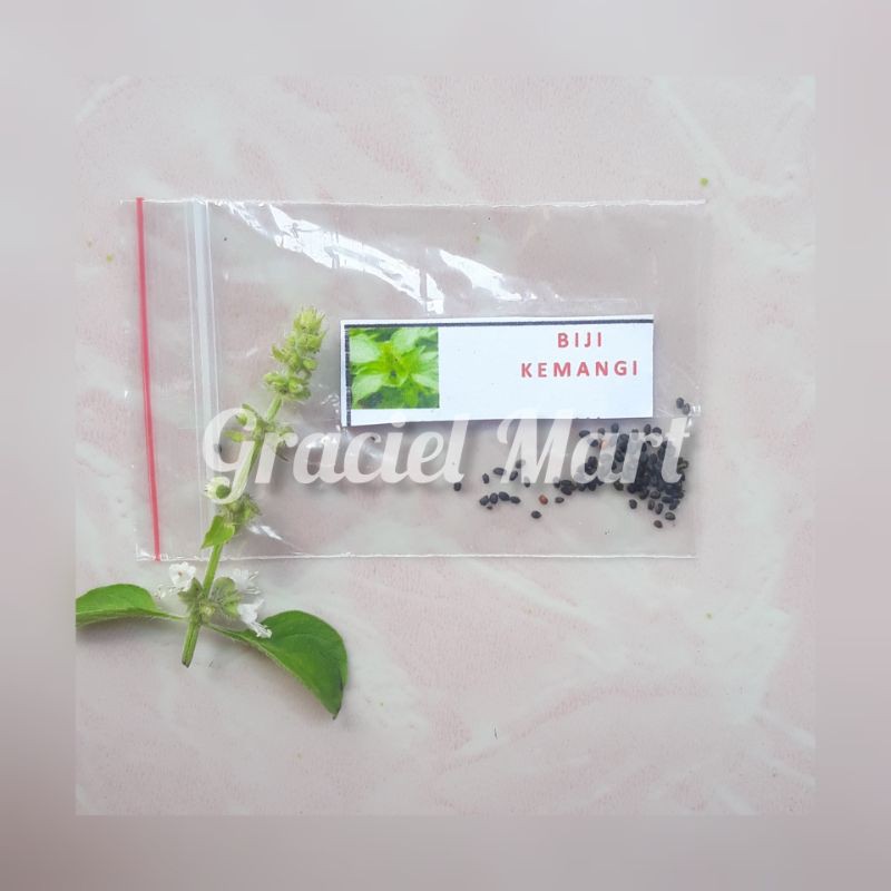 Jual BENIH BIJI KEMANGI | Shopee Indonesia Jual BENIH BIJI KEMANGI | Shopee Indonesia