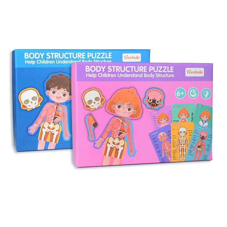 Jual Body structure puzzle / puzzle struktur badan anatomi / mainan ...