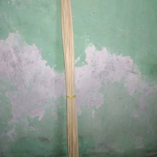 Sebat rotan untuk kesehatan/pijat rotan/terapi rotan | Shopee Indonesia