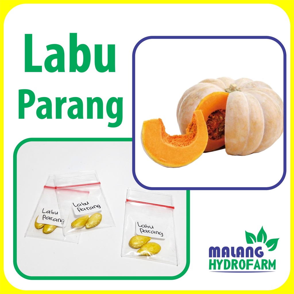 Jual Benih Labu Parang Unggulan sayur berkualitas biji bibit hidroponik ...