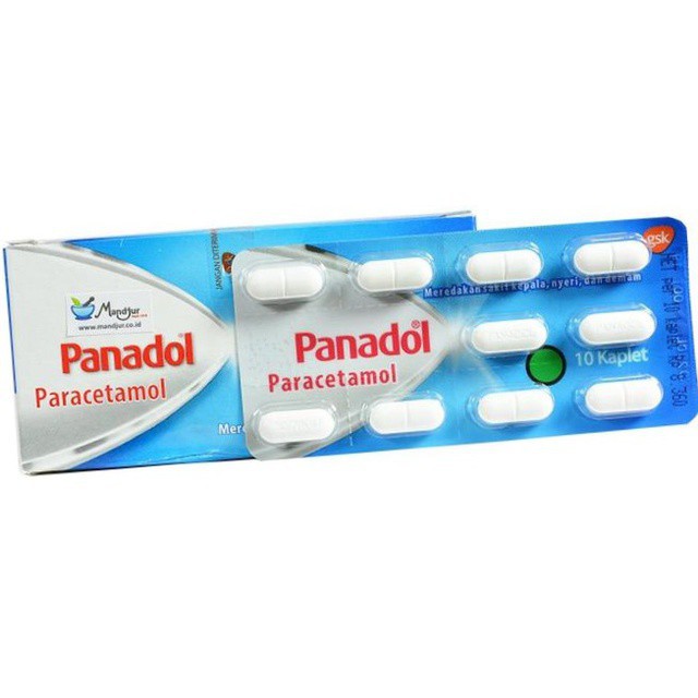 Jual Panadol Paracetamol Biru Strip Isi 10 tablet | Shopee Indonesia