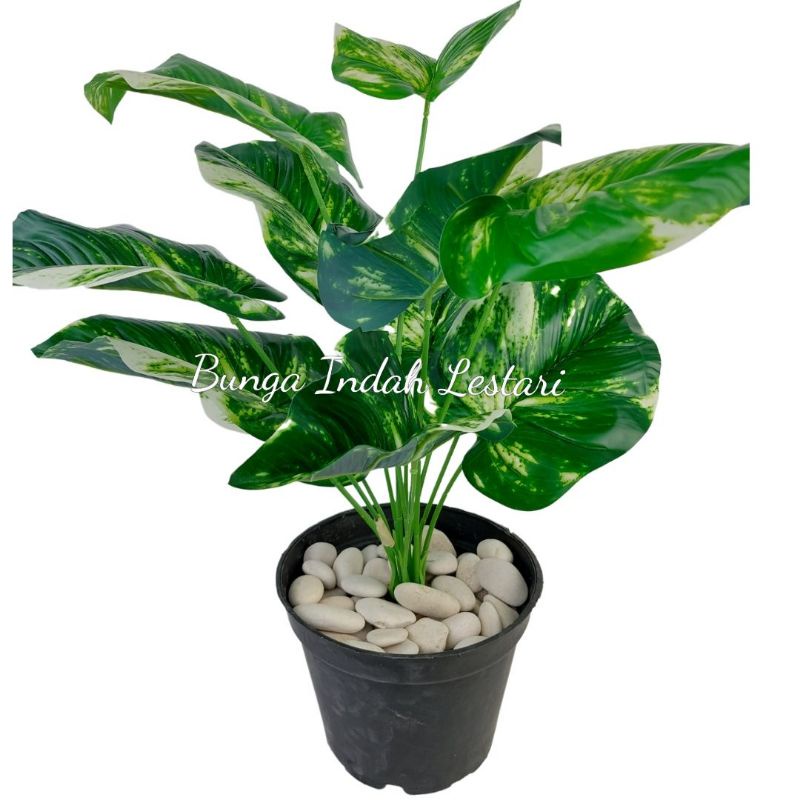 Jual Tanaman hias pohon daun monstera palsu plastik artificial dekorasi ...