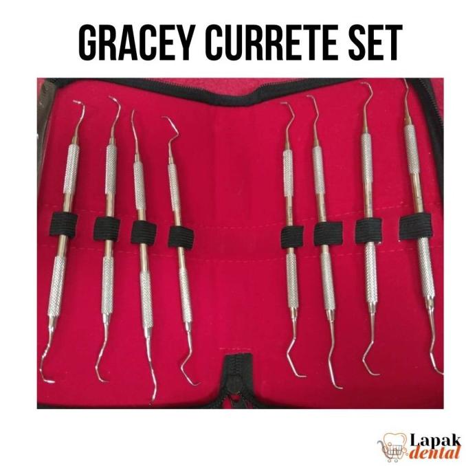 Jual Dental gracey Currette set + pouch / kuret gracey | Shopee Indonesia