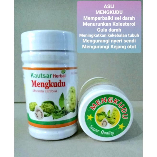 Jual MENGKUDU Kapsul - isi 60 KAPSUL | Shopee Indonesia