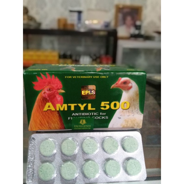 Jual AMTYL 500(Obat ayam sakit) | Shopee Indonesia