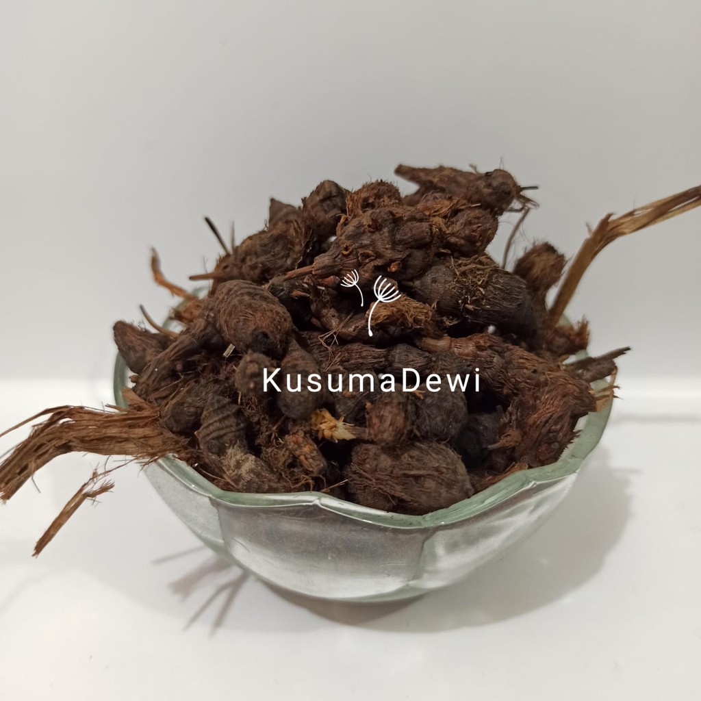 Jual Rumput Teki Kering / Cyperus Rotundus / Rumput Kacang 1kg | Shopee ...