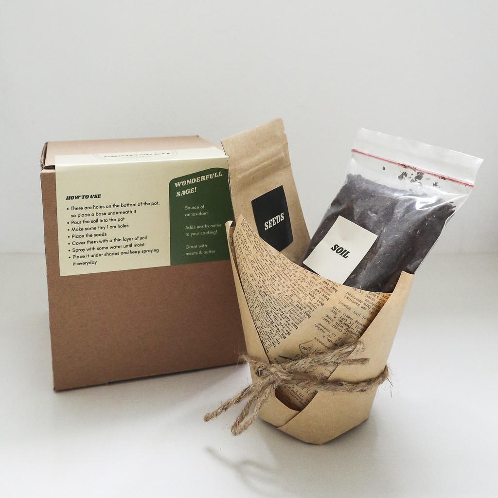 Jual Growing Kit Herbs Sage / Paket Menanam Tanaman Sage dengan Pot ...