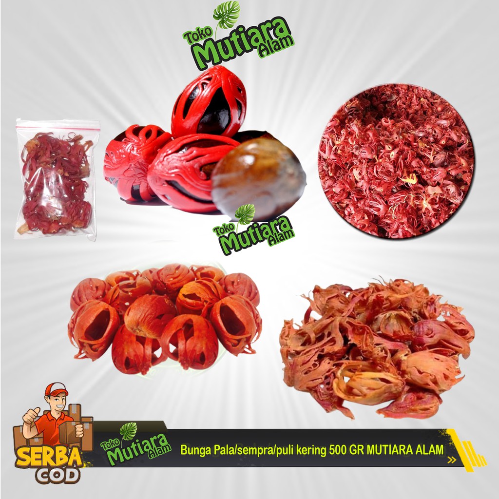 Jual Bunga Pala/sempra/puli kering 500 GR MUTIARA ALAM | Shopee Indonesia