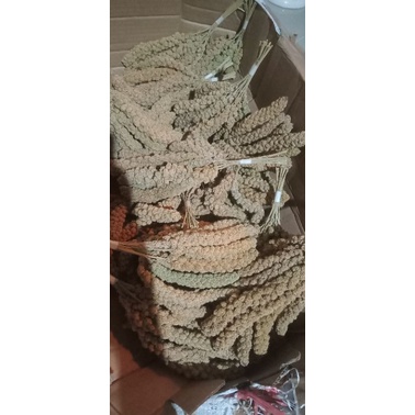 Harga Juwawut Terbaru Februari 2024 |BigGo Indonesia