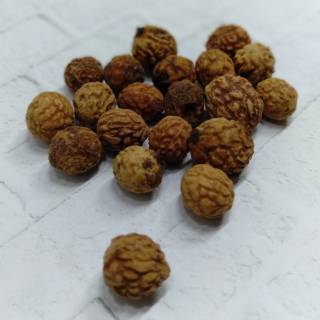 Jual 10pcs Biji Genitri Natural Dried Flower Bunga kering biji kering ...