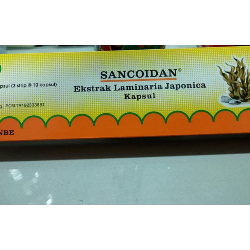 Jual Sancoidan (ekstrak laminaria japonica kapsul)10kapsul Indonesia ...