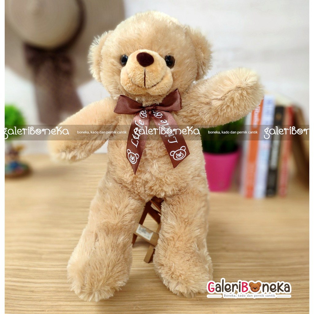 Jual Boneka Little Teddy Bear Ukuran Kecil ( BT - 210525 ) | Shopee ...