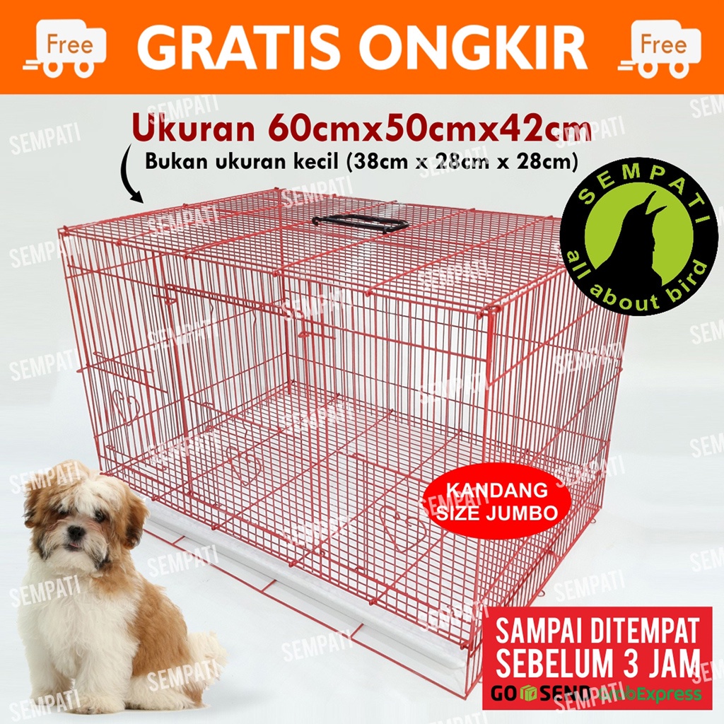 Jual Anjing Besar Terlengkap & Harga Terbaru Maret 2023 | Shopee Indonesia