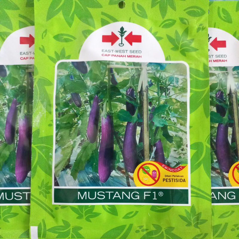 Jual Benih Terong Ungu MUSTANG F1 1100 Butir Cap Panah Merah | Shopee Indonesia