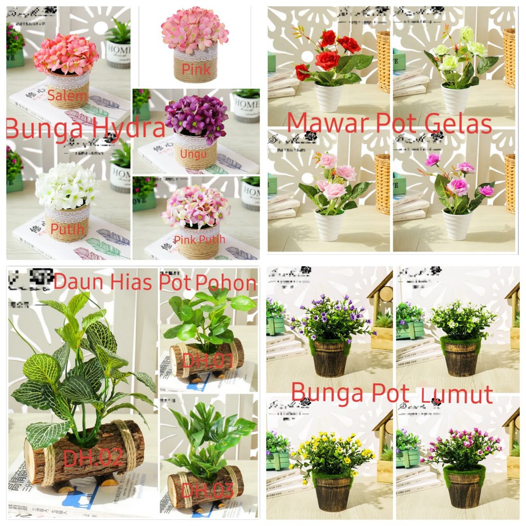 42+ Contoh Gambar Bunga Mawar Dan Potnya yang Wajib Diketahui ...