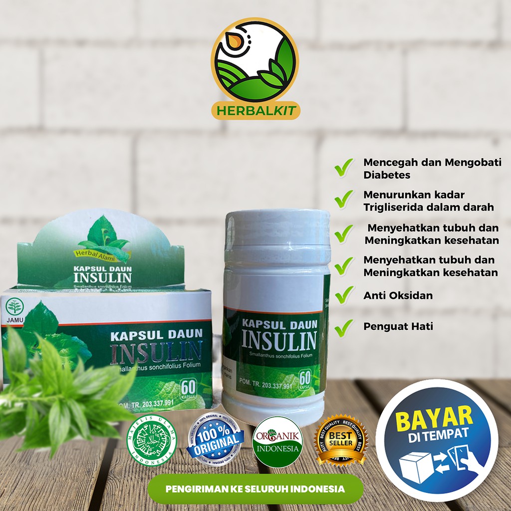 Jual Kapsul Insulin Obat Herbal Diabetes Kencing Manis BPOM EXP 2022 ...