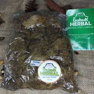 Jual RASUKANGIN / KAYU ANGIN KERING 100 GRAM - Usnea Thallus - MURNI ...