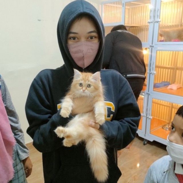 Jual TESTIMONI ADOPTER GEMBULCIMOT | Shopee Indonesia