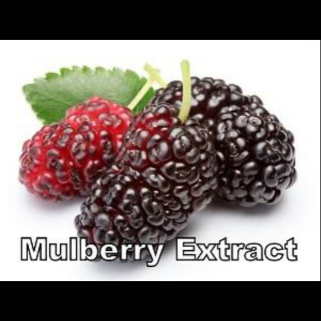 Jual Mulberry Extract Liquid - cosmetic grade ( 100 ml ) | Shopee Indonesia