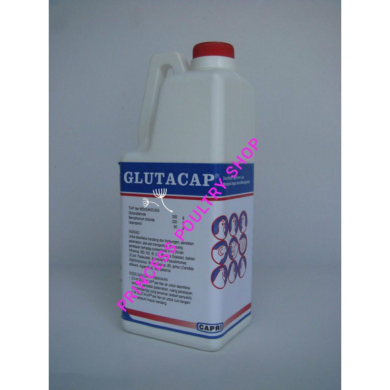 Jual GLUTACAP 1 Liter - Desinfektan Glutaraldehyde Spektrum Luas ...