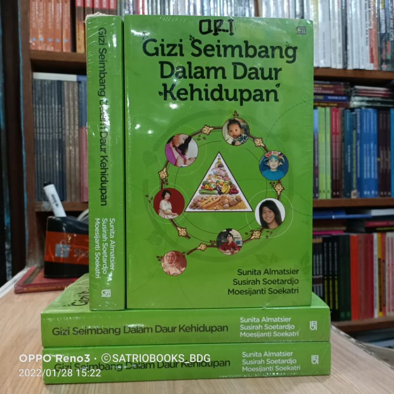 Jual Gizi Seimbang Dalam Daur Kehidupan Sunita Almats