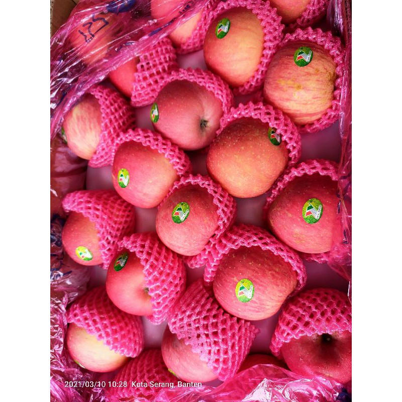 Jual apel fuji premium | Shopee Indonesia