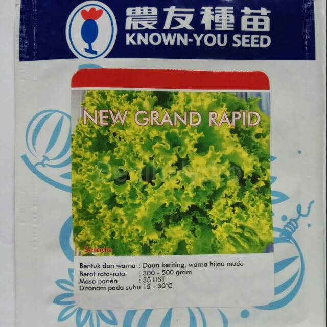 Jual Benih Selada New Grand Rapid 10 gr | Shopee Indonesia