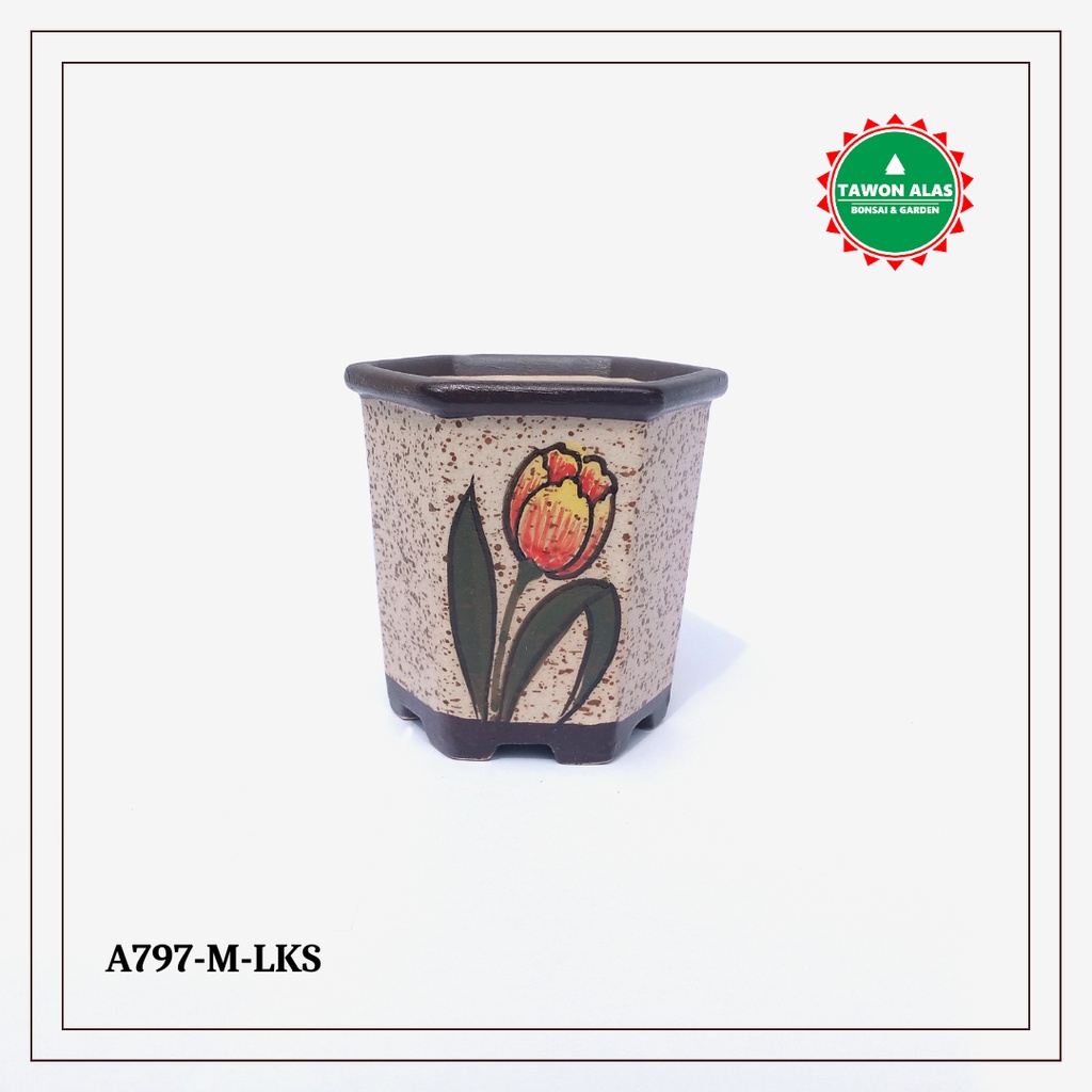 Jual Pot Keramik Bonsai Segi Enam Unik | Shopee Indonesia