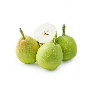 Jual Buah Kualitas Premium ( Pear Xiang Lie ) pir xiang li [500 gram ...