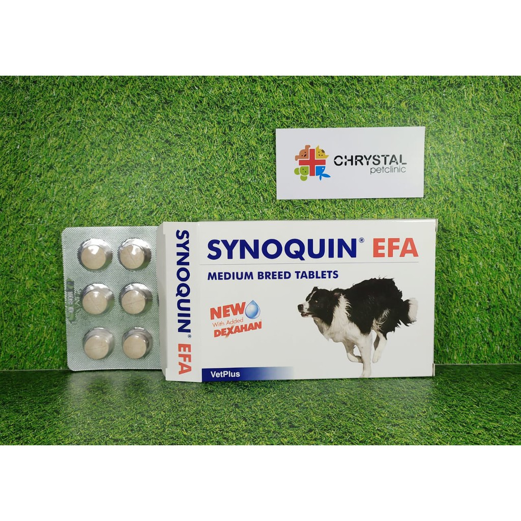 Jual SYNOQUIN MEDIUM BREED PER TABLET Indonesia|Shopee Indonesia