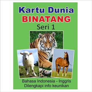 Jual Flash card DUNIA BINATANG kartu binatang untuk anak flashcard ...
