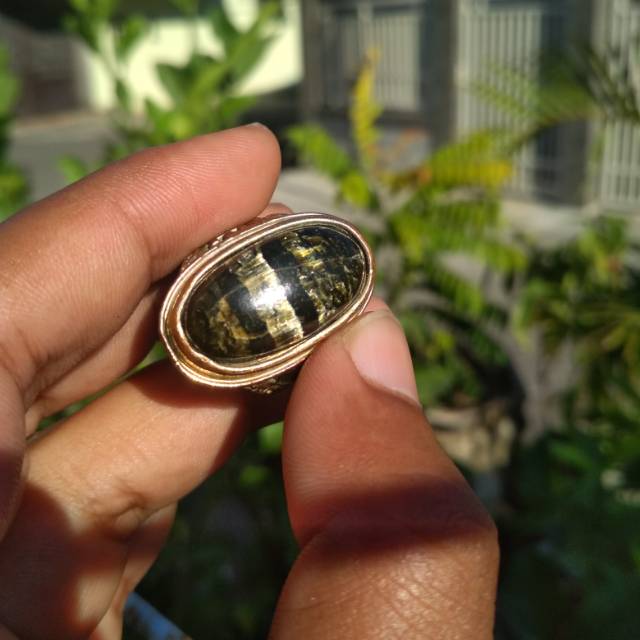 Jual Batu Naga Sikoi | Shopee Indonesia