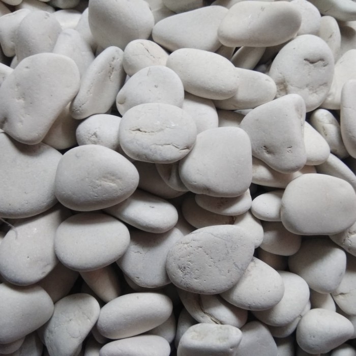 Jual Batu Coral Koral Kupang Putih Hias Tanaman Aquarium Aquascape 1kg ...