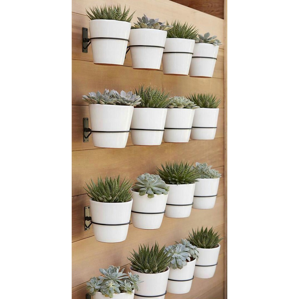 Jual Standing Pot Tempel Dinding / Tembok kuat Indonesia|Shopee Indonesia